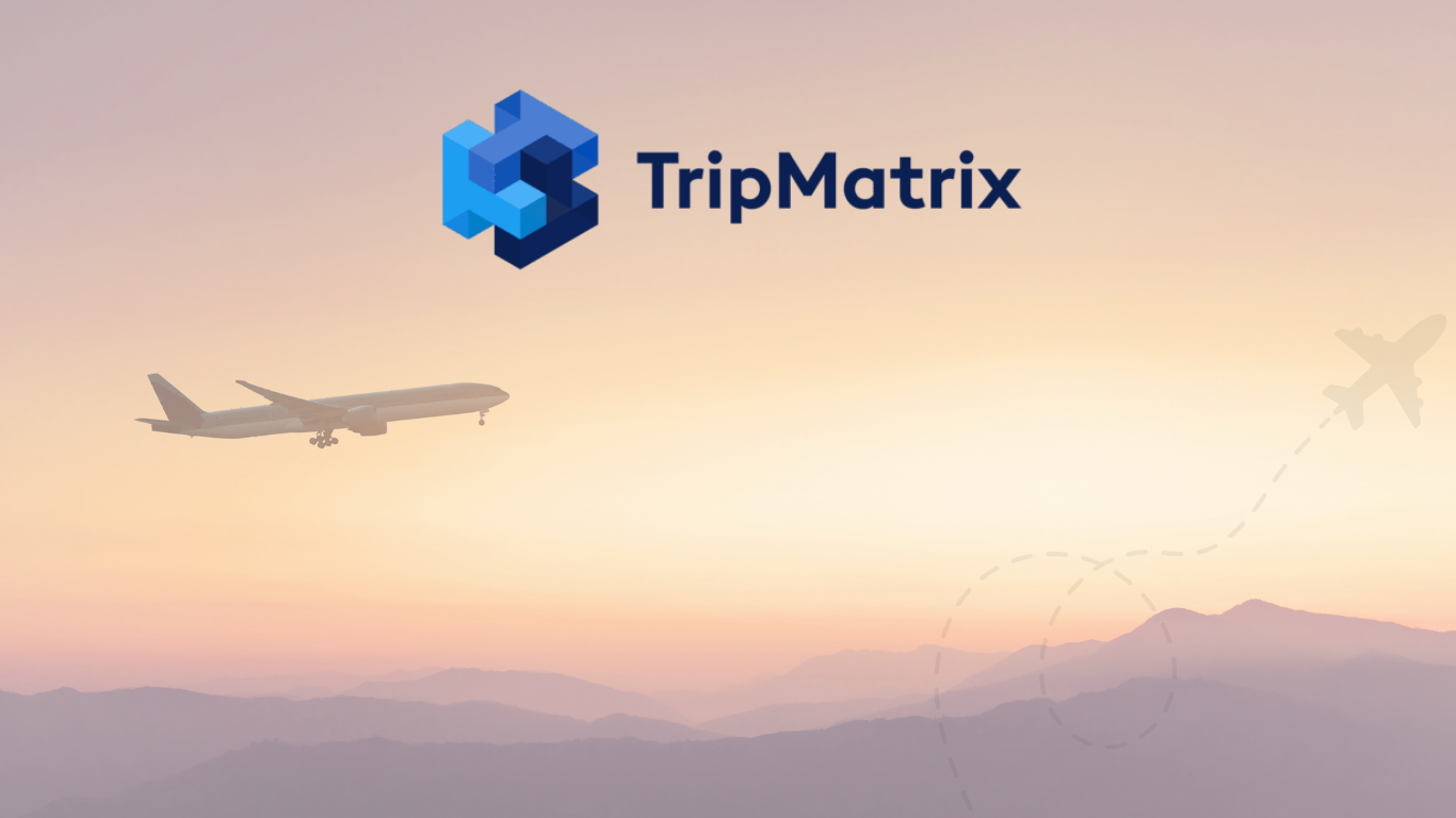 5 Ways to Improve Travel Agency Website - TripMatrix : TripMatrix